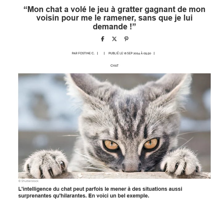 Il est pas con ce chat - 9GAG