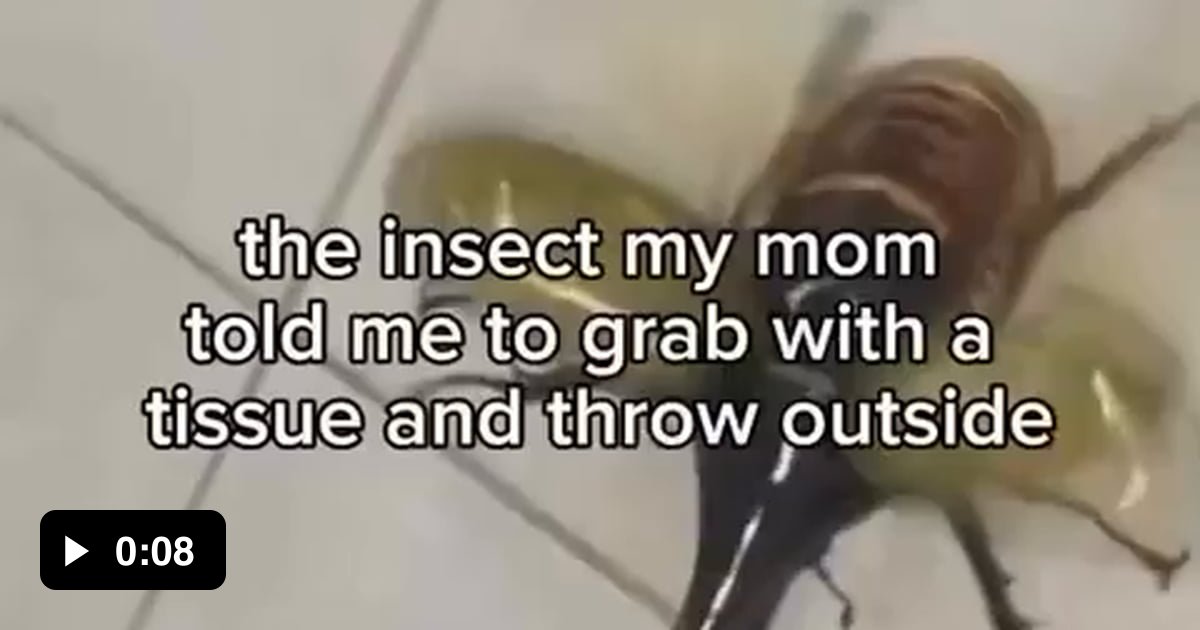 The insect in question: - 9GAG