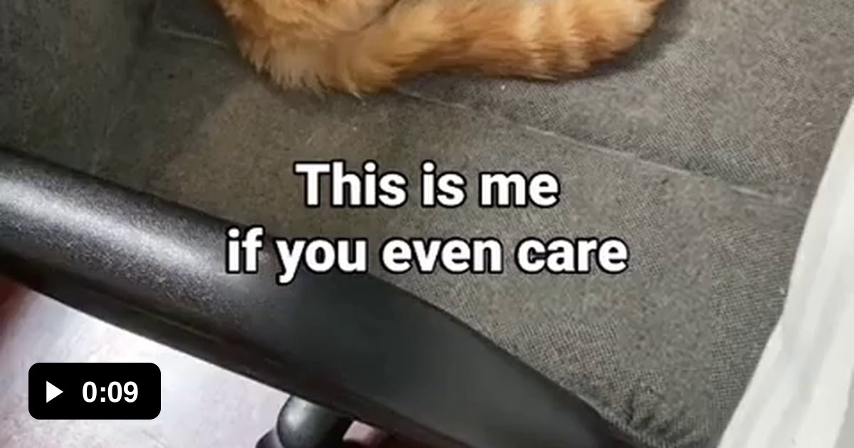 If you even care - 9GAG