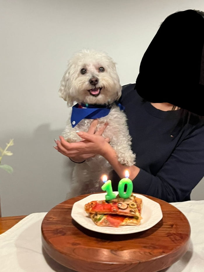 My good boy turned 10 today. So we got him his all time favorite, Pizza ...