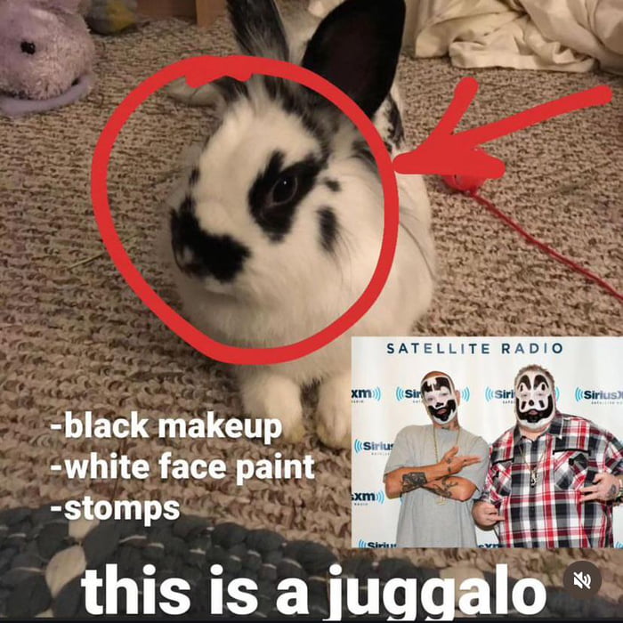 What is a Juggalo? - 9GAG