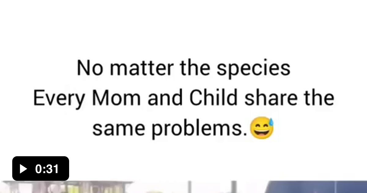 Mom Child, Different species,Same problem. - 9GAG