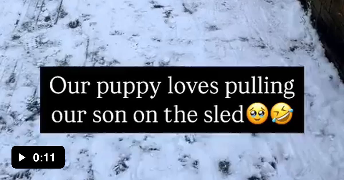 The smile on both their faces🥹🥰 - 9GAG