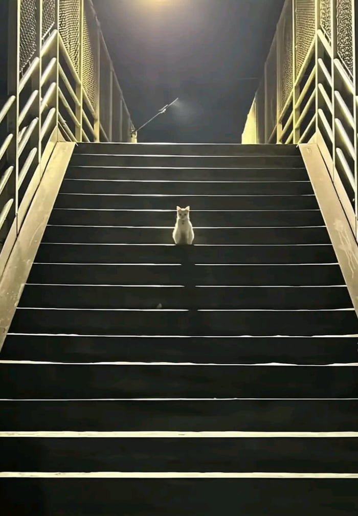 Giggleshit. Defender of stairway to heaven - 9GAG