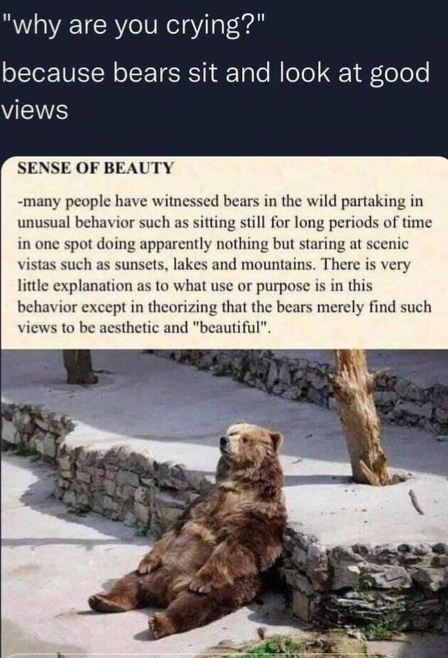 POV: You’re Contemplating Life Choices - 9GAG