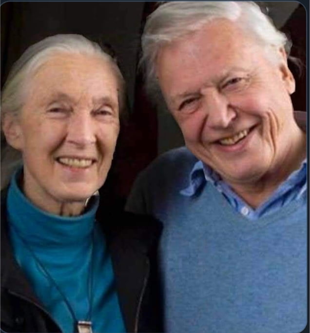 91 year-old Dr. Jane Goodall and 99 year-old Sir David Attenborough - 9GAG