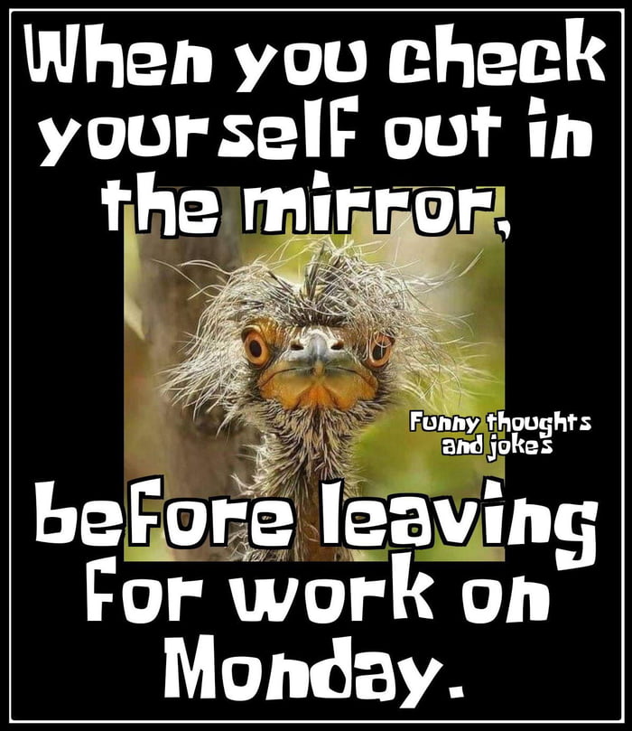 Monday 9GAG