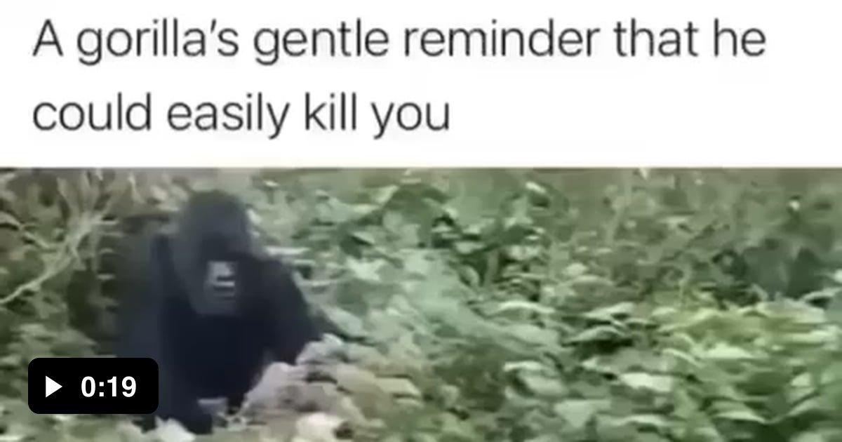 Return to monke - 9GAG