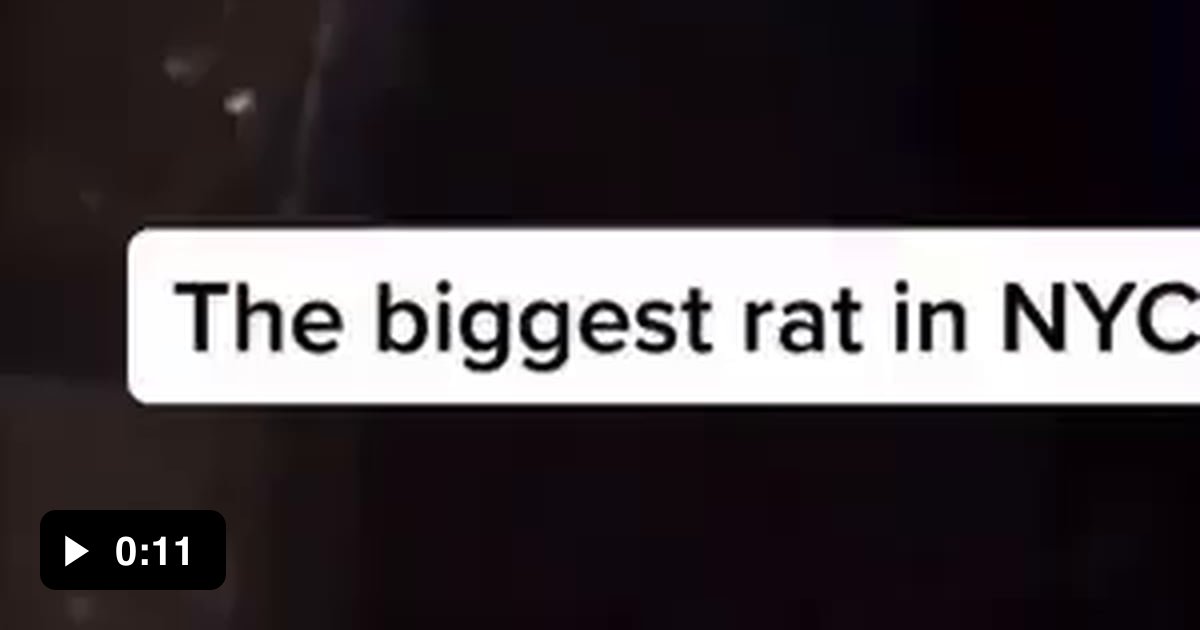 Master Splinter caught on camera - 9GAG