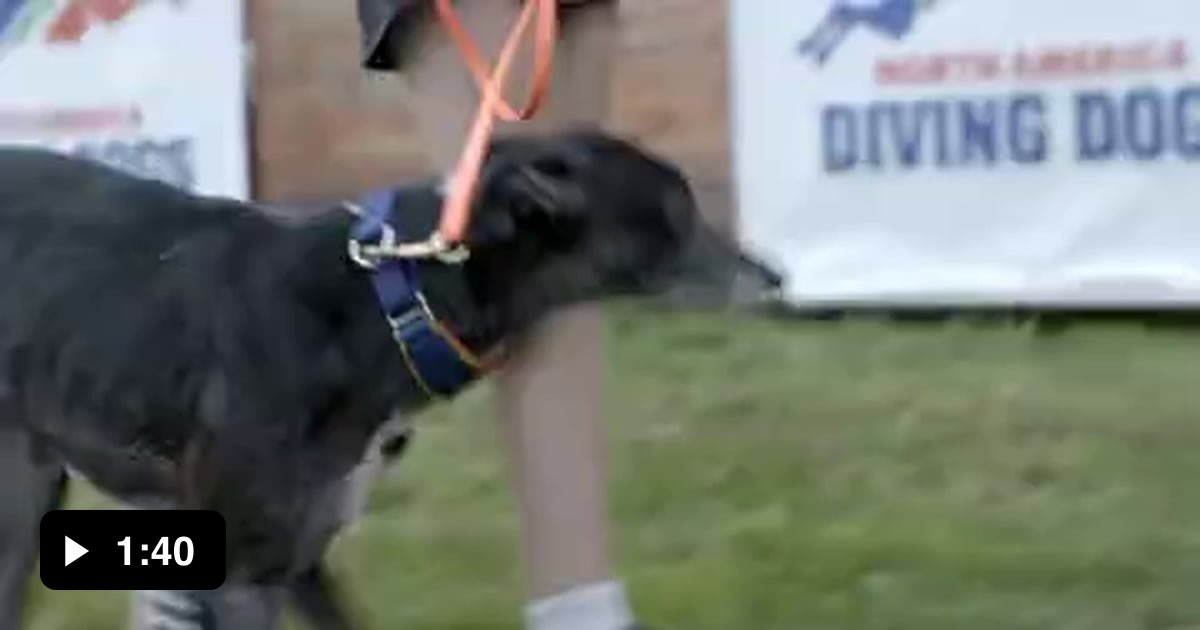 The Legend of Spitfire - 9GAG