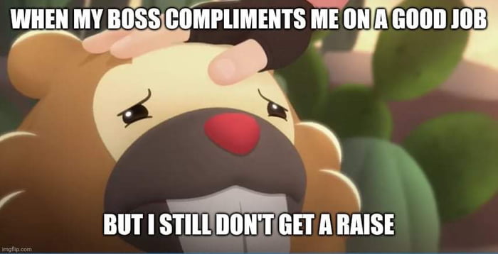 Poor Bidoof - 9GAG