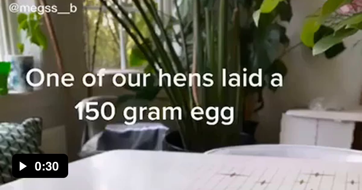 Egg inside egg. - 9GAG