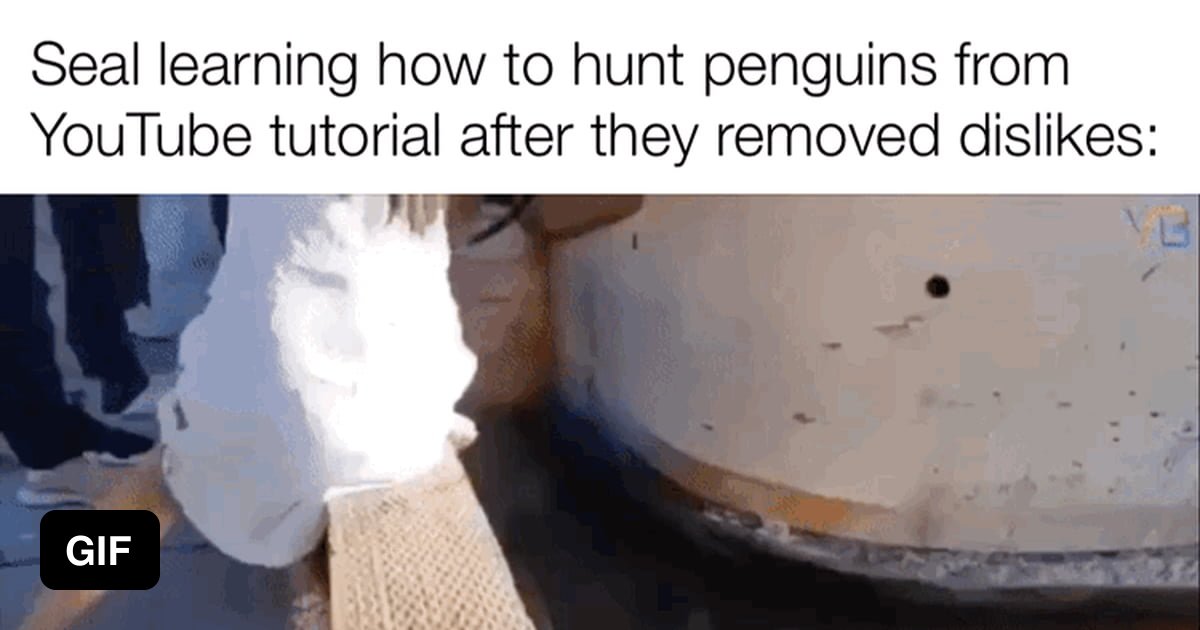 Thats a big penguin - 9GAG