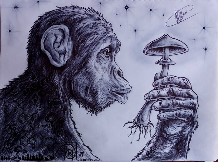 Stoned ape theory - 9GAG
