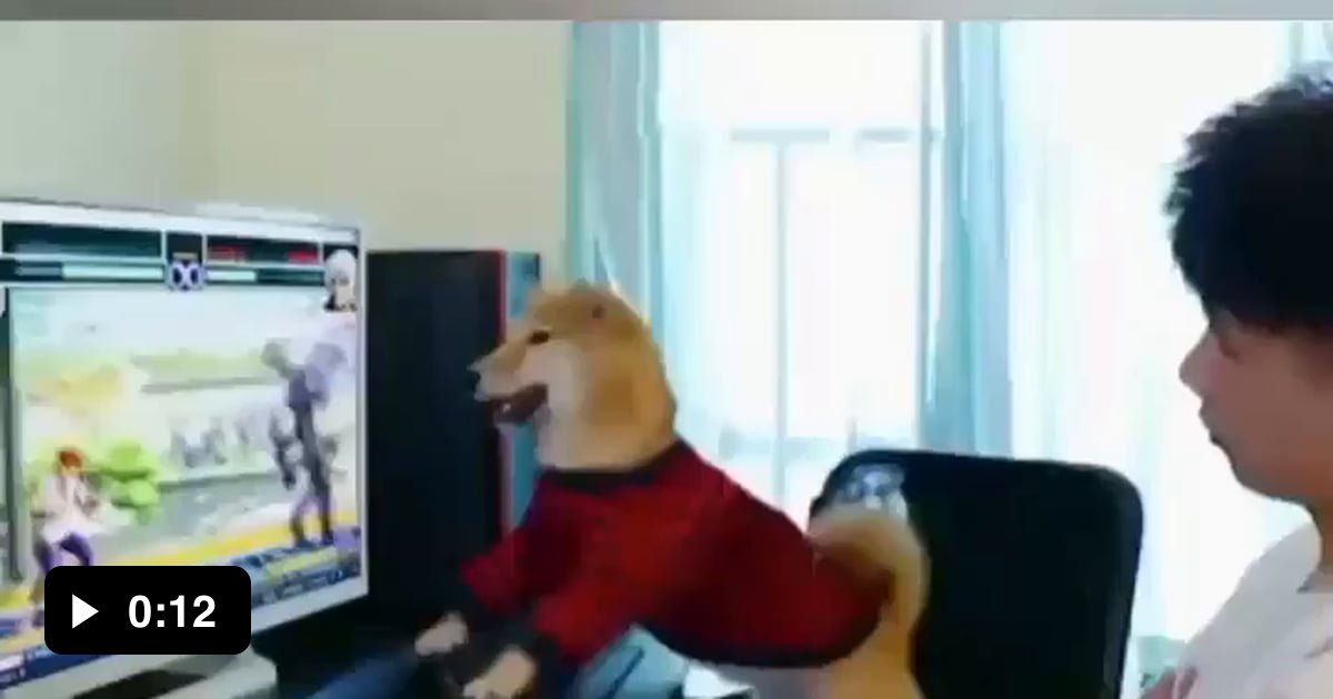 Rage Gamer Doggo - 9GAG