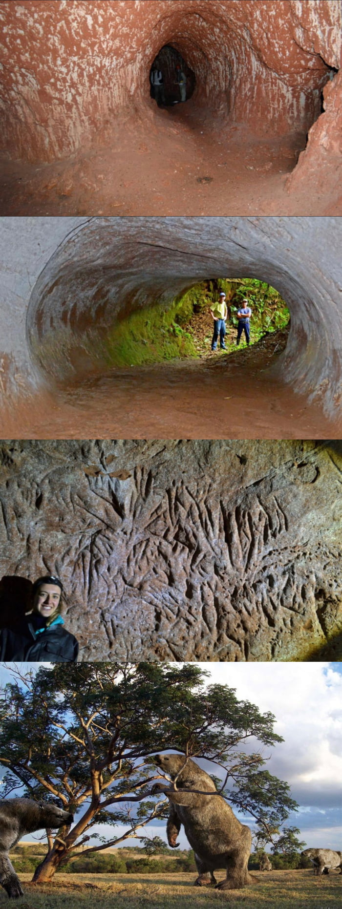 These tunnels were dug by a Giant Ground Sloth that lived 10,000 years ...