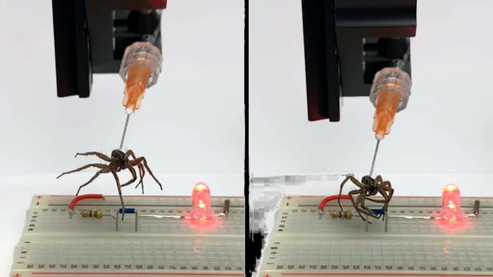 Dead Spider As Robot Claw - 9GAG