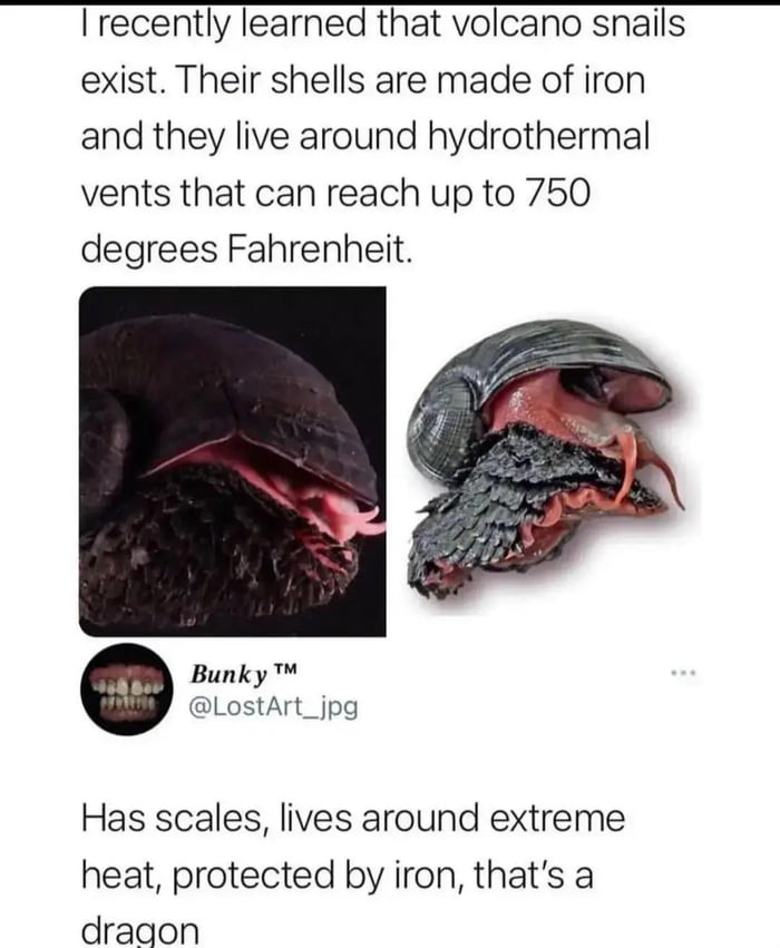 Hell no😭💀 - 9GAG