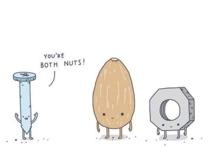 We’re all nuts in November! - 9GAG