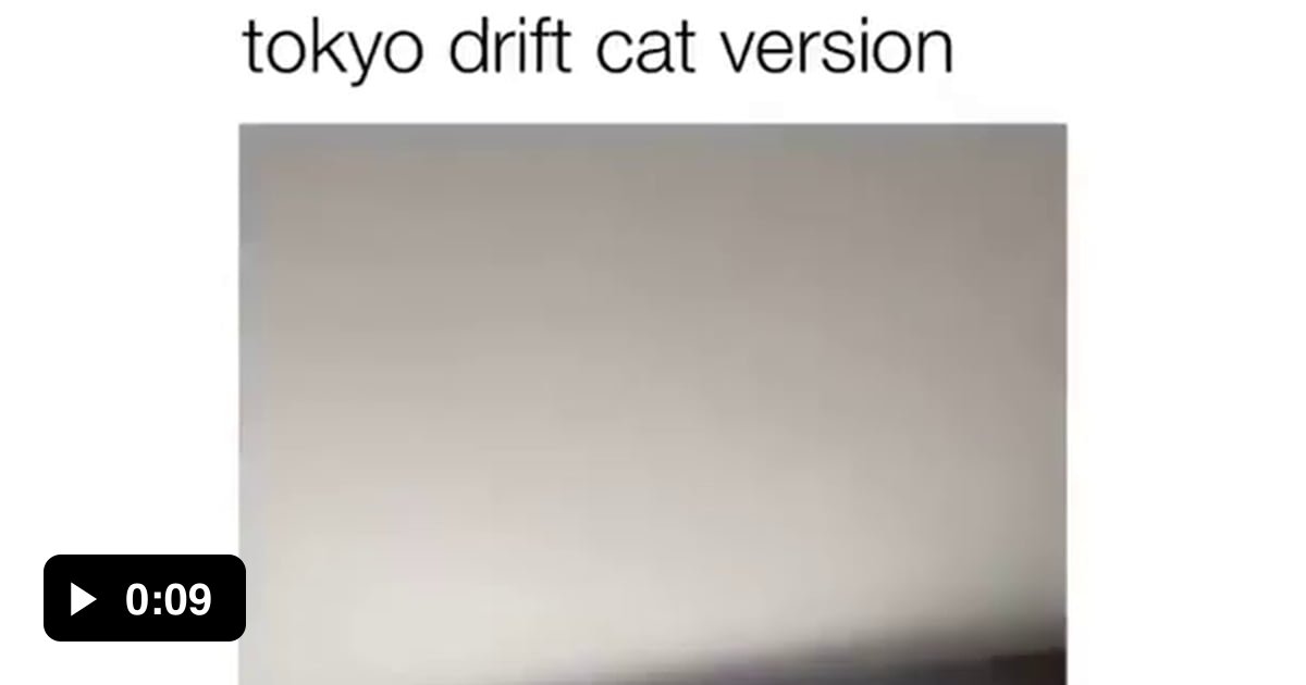Tokyo drift cat version - 9GAG
