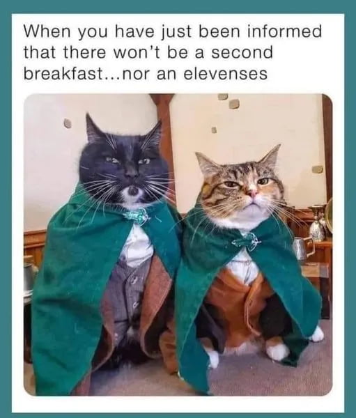 He does know about 2nd breakfast? - 9GAG