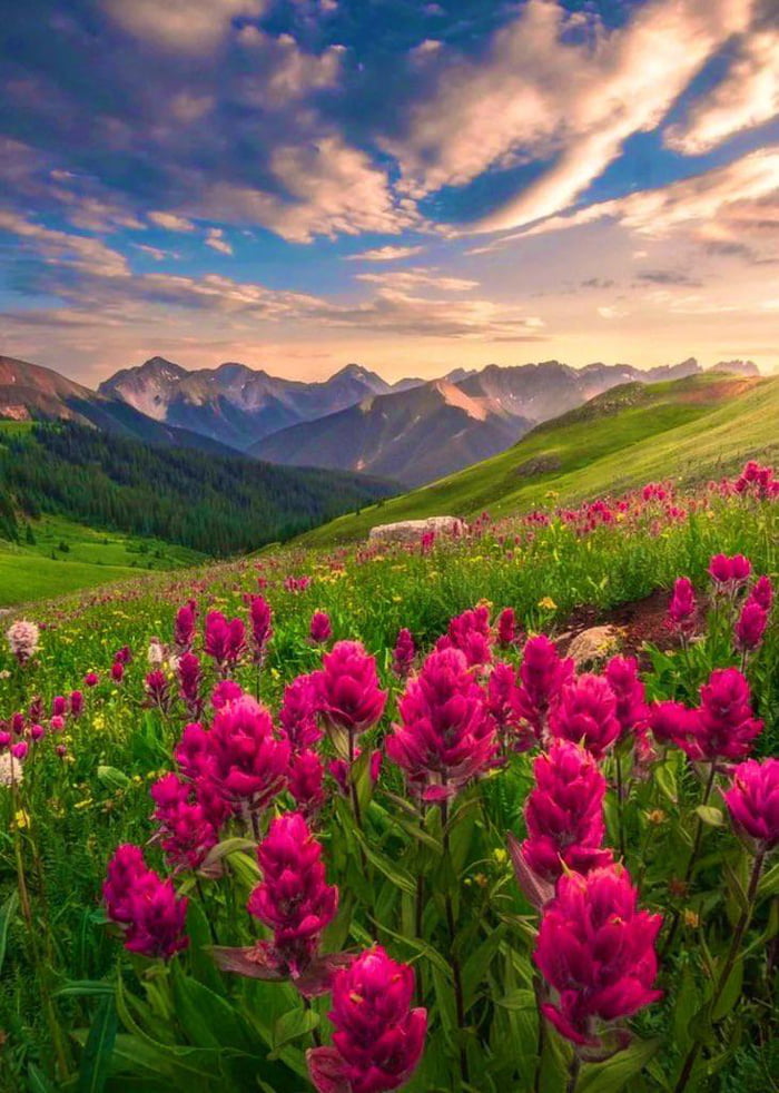 Beautiful Colorado. 🍃🌺🍃 - 9GAG