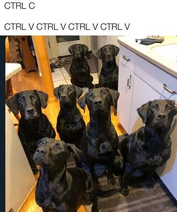 CTRL C CTRL V - 9GAG