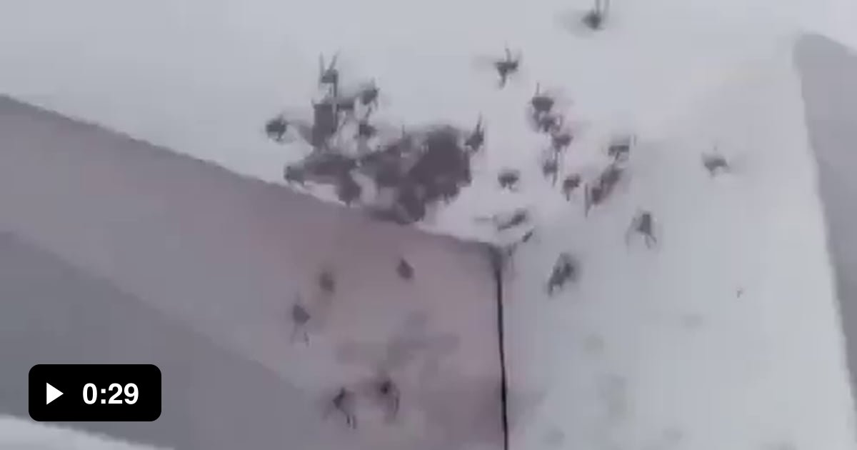 This is the most Australian thing I've ever seen - 9GAG