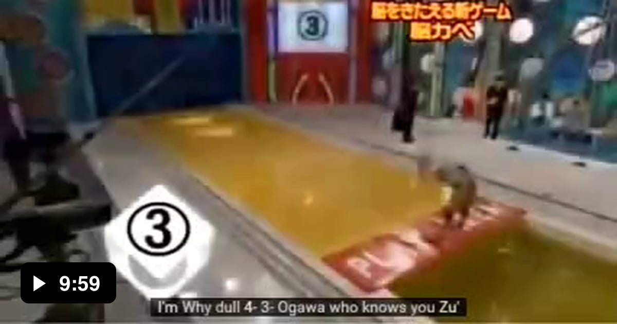 Brain Wall - Japanese have the craziest game shows - 9GAG