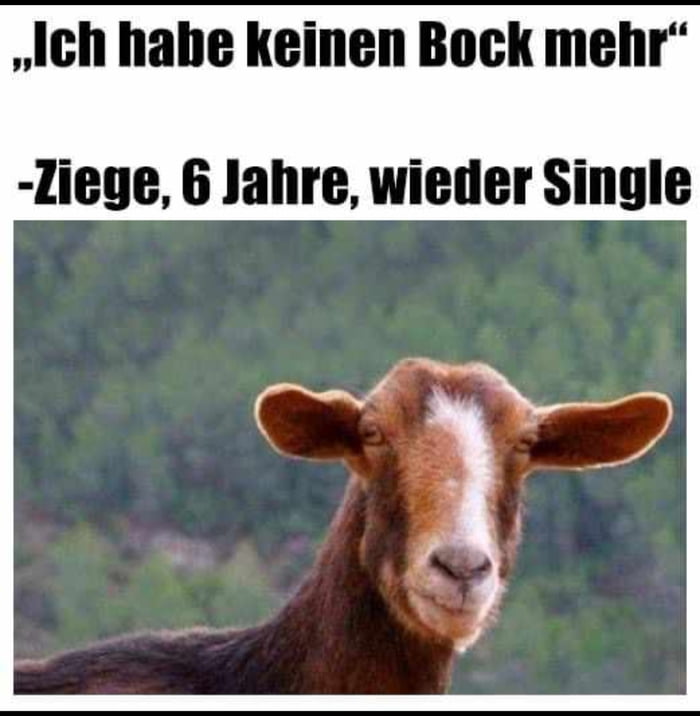 Witzig, hahahaha - 9GAG