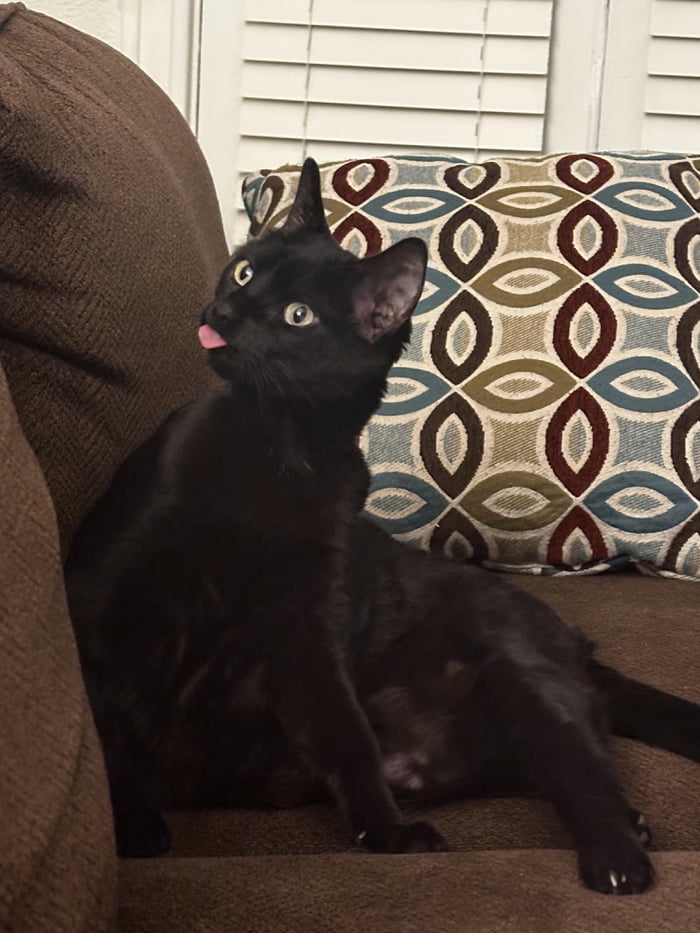 She’s so smart…until she isn’t - 9GAG