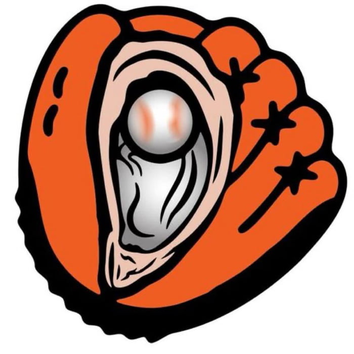 The new logo for the Chesapeake Oyster Catchers - 9GAG