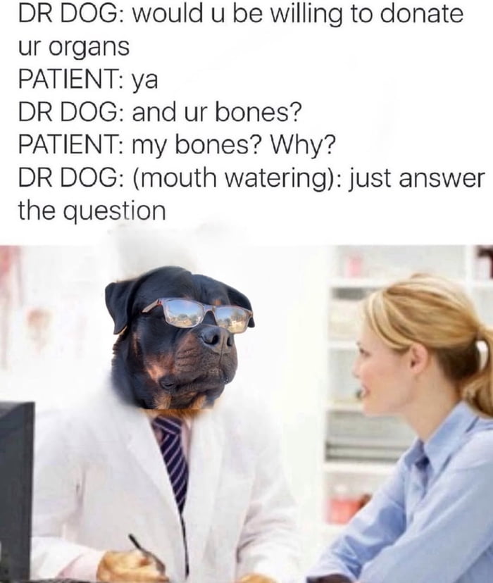 Can I pet that dawg - 9GAG