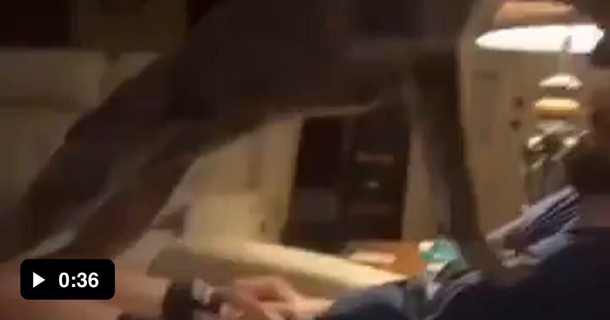 This is the one Sean, this toy right here. Get closer Sean. Can you hear it Sean? Can you smell ...