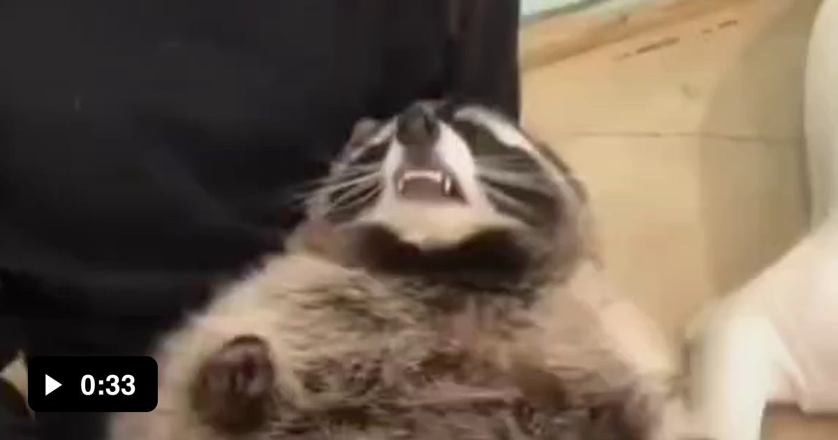 Mit Gigi ist einfach alles besser - 9GAG