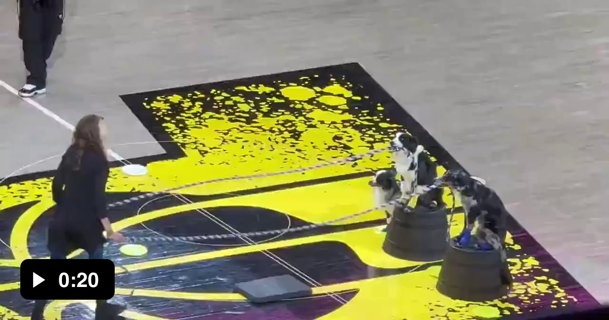Jump roping dog Wow pacers vs cavs halftime crowd. - 9GAG