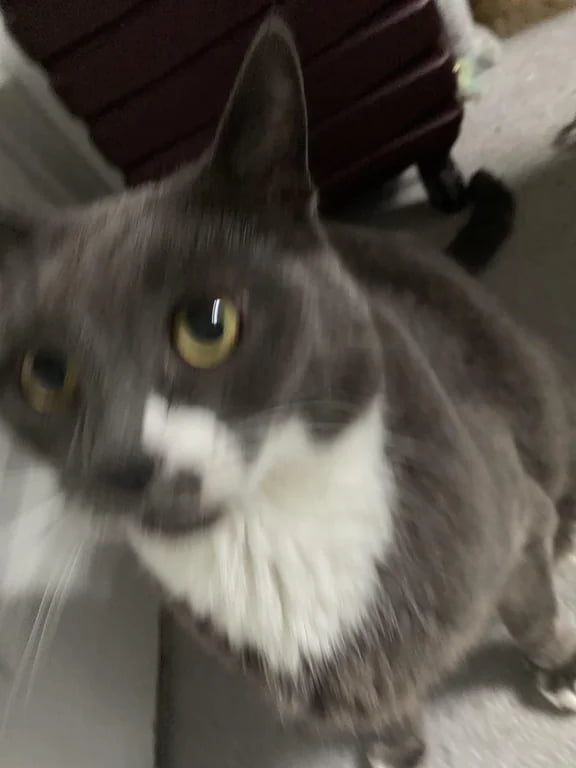 What crime did he commit? - 9GAG