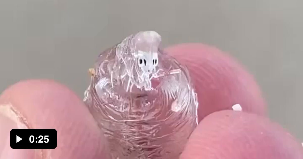 This small creature is a Phronima. It attacks sea salps, eats the ...