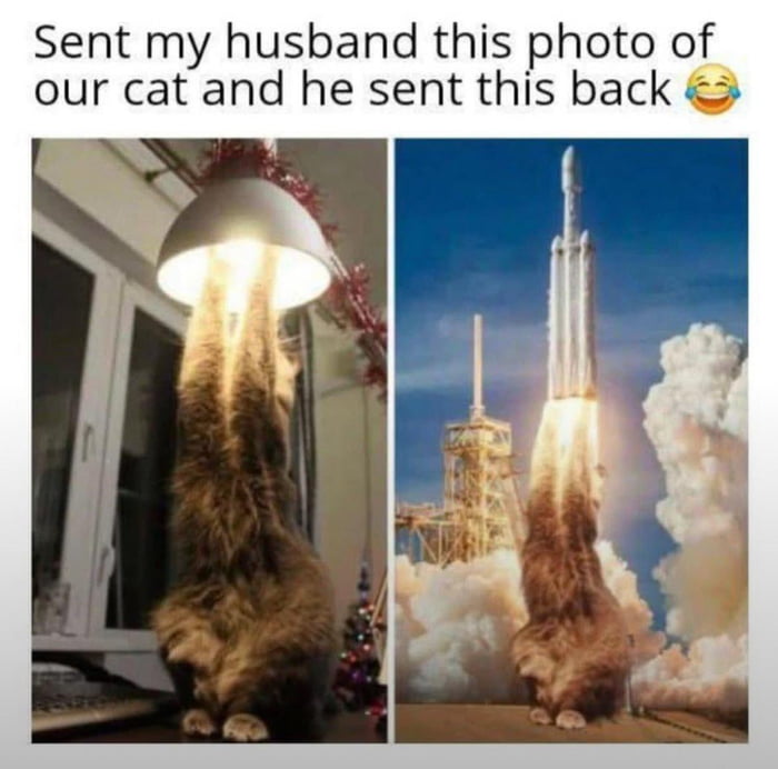 Rocket cat! 😂 - 9GAG