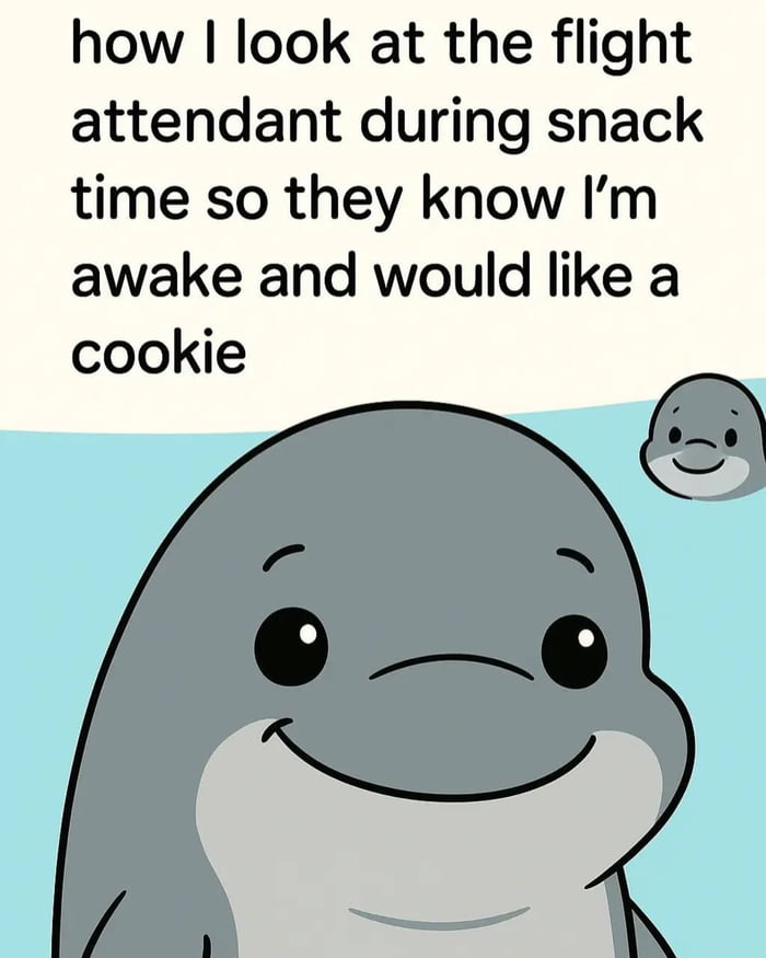 When even a seal can't resist free snacks - 9GAG
