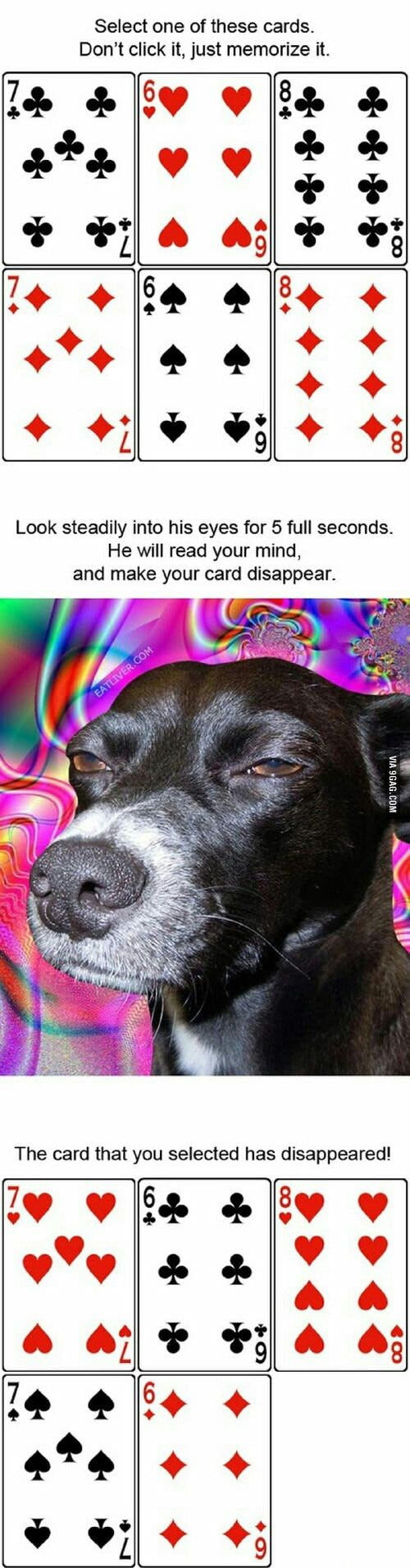 Let the magic happen - 9GAG