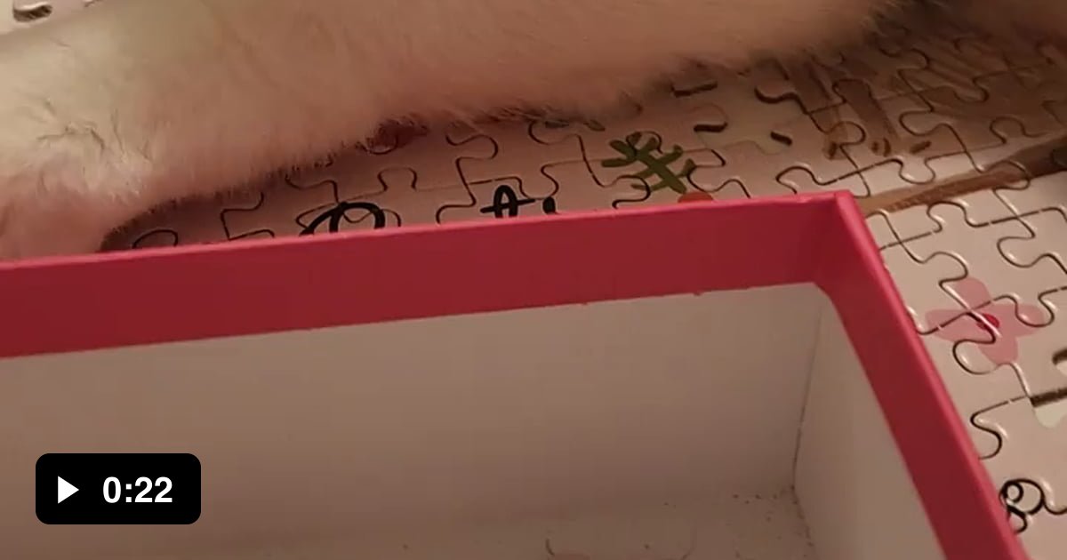 Puzzling behavior from Turnip - 9GAG