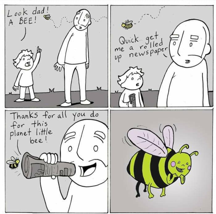 Bee be so happy - 9GAG