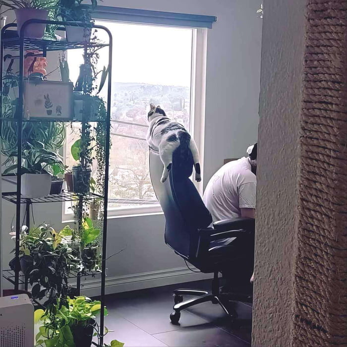 Her favorite position and view - 9GAG