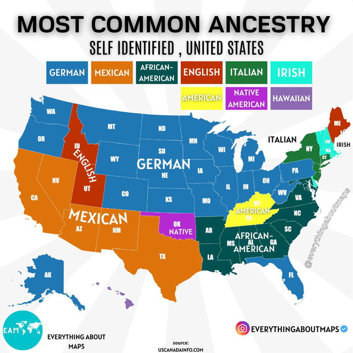 A cool guide to the most common ancestry in USA (self identified) - 9GAG