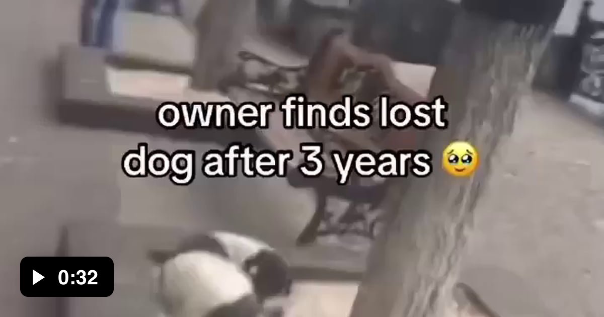 Owner finds lost dog! - 9GAG