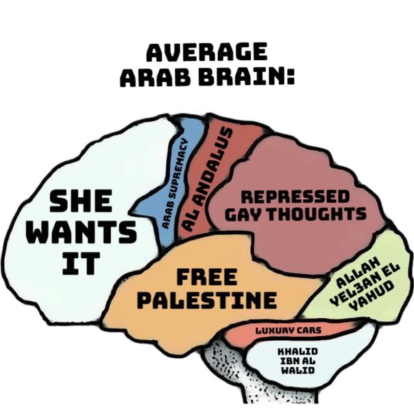 Average Arab Brain - 9GAG