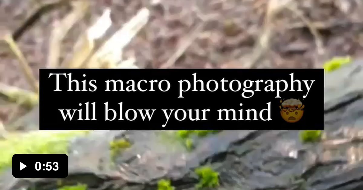 Ryan Dale and these amazing close-up photos - 9GAG