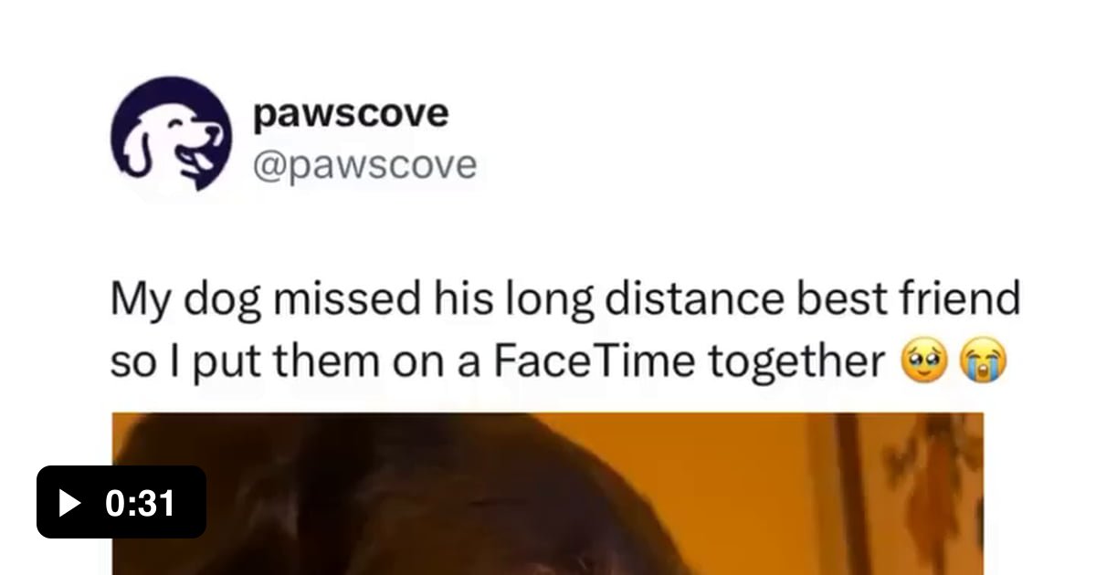 FaceTime Besties - 9GAG