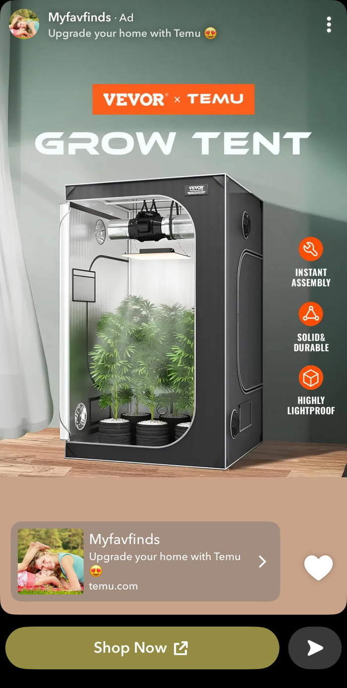 Upgrade your home with Temu - 9GAG